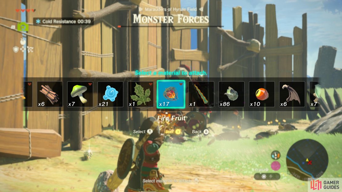How to Complete Bring Peace to Hyrule Field - Central Hyrule - Side ...