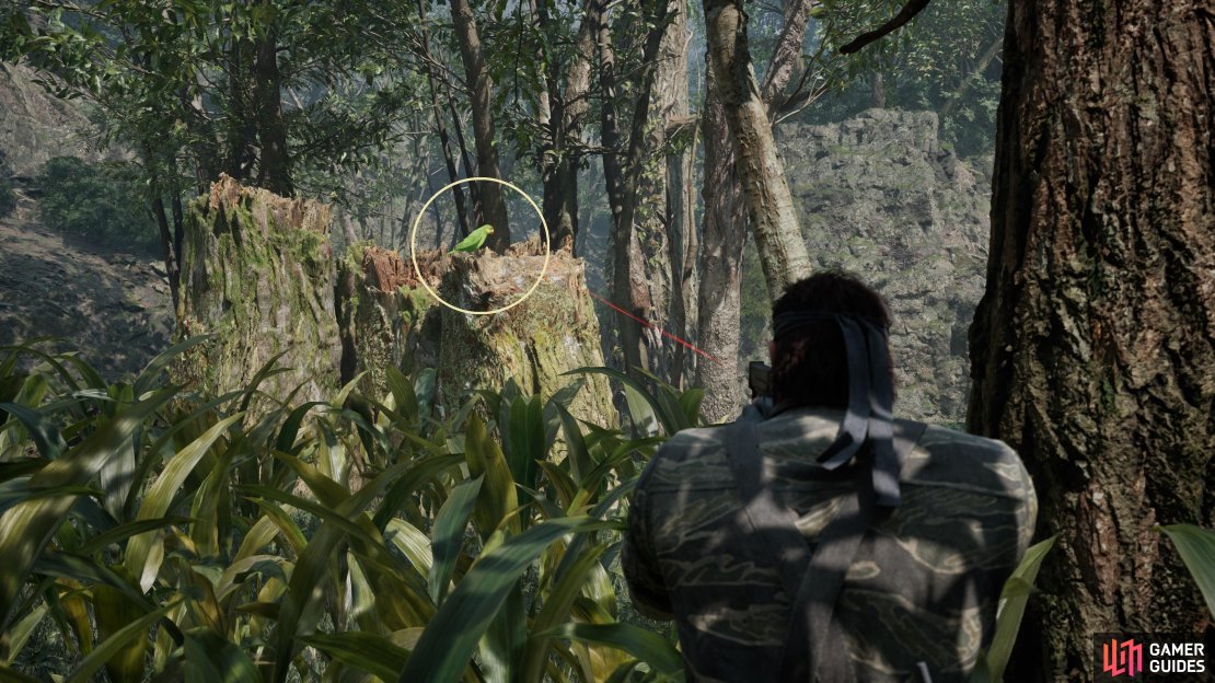All Bird Locations | Metal Gear Solid Delta: Snake Eater | Gamer Guides®