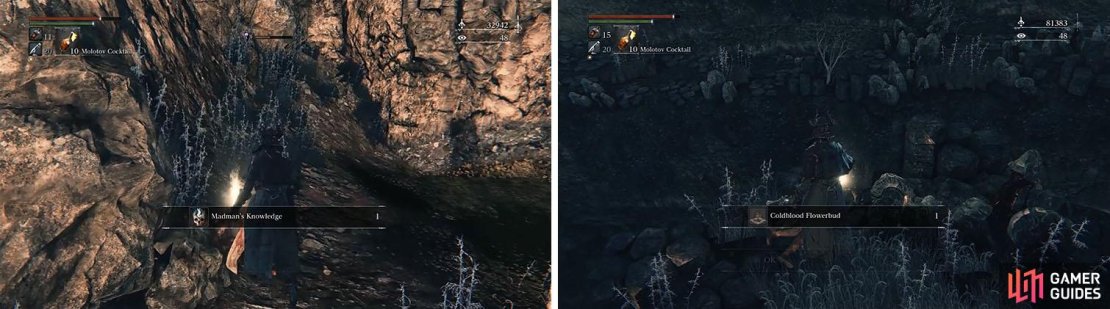 Nightmare Frontier - Nightmare Tombstone - Walkthrough | Bloodborne ...