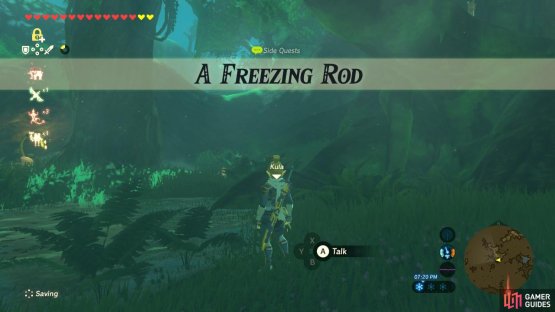 A Freezing Rod - Woodland Region - Side Quests | The Legend of Zelda ...