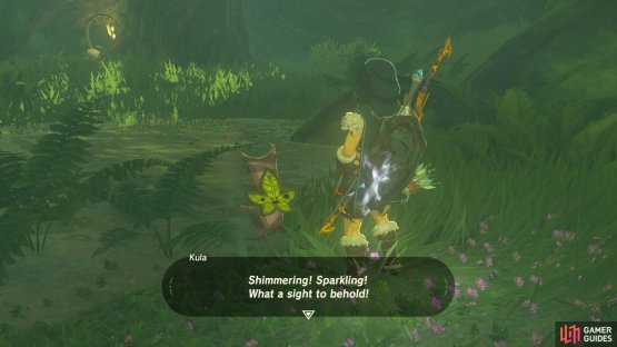 A Freezing Rod - Woodland Region - Side Quests | The Legend of Zelda ...